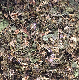 KOVAI GLOBAL EXPORTS INC. - Products