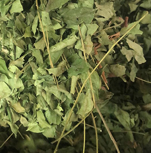 KOVAI GLOBAL EXPORTS INC. - Products