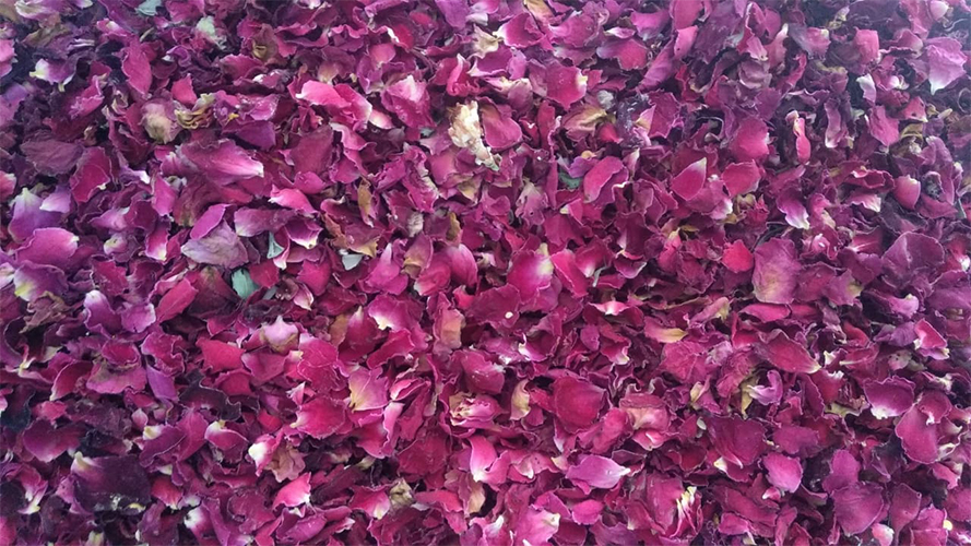 KOVAI GLOBAL EXPORTS INC. - Products