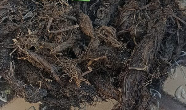 KOVAI GLOBAL EXPORTS INC. - Products