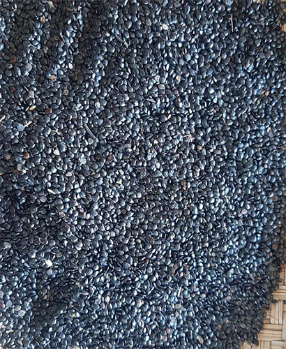 KOVAI GLOBAL EXPORTS INC. - Products